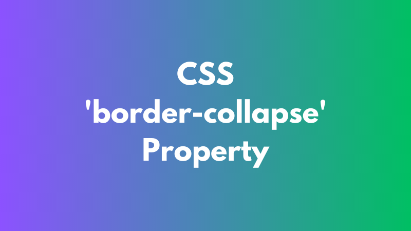 Css Border Collapse Property Explained In 120 Sec March 2025 Webzstore Solutions